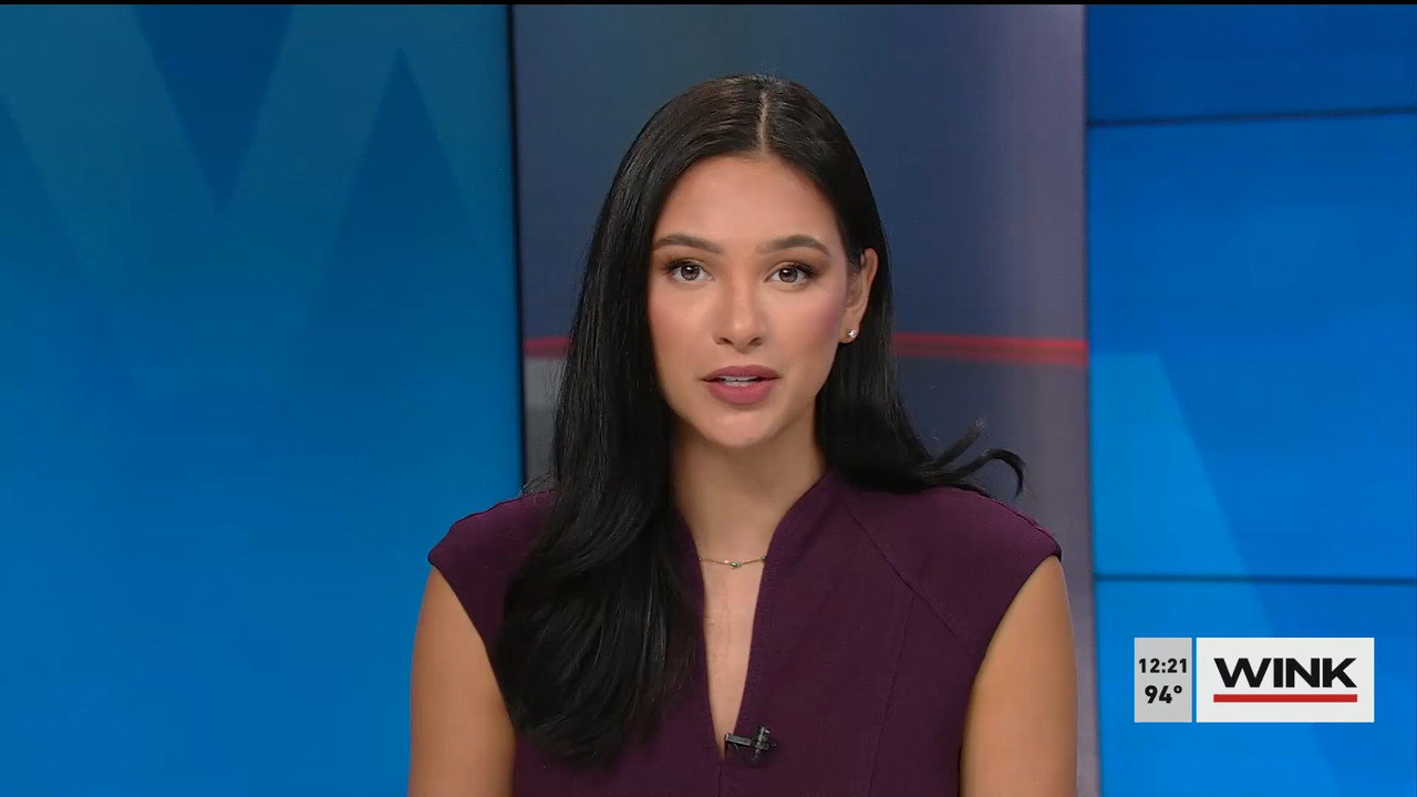 07 25 17 00 00 The WINK Noon News Midday news update ts snapshot 28 11 ...