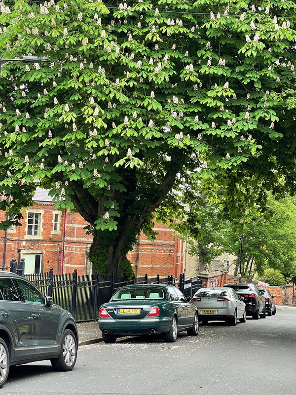 IMG 5727 — Postimages