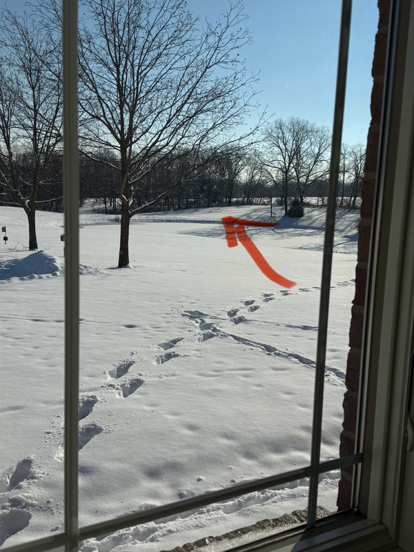 IMG 0240 — Postimages