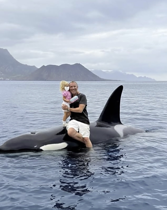 Black Tides (directed by Renny Harlin) - Blu-ray Forum