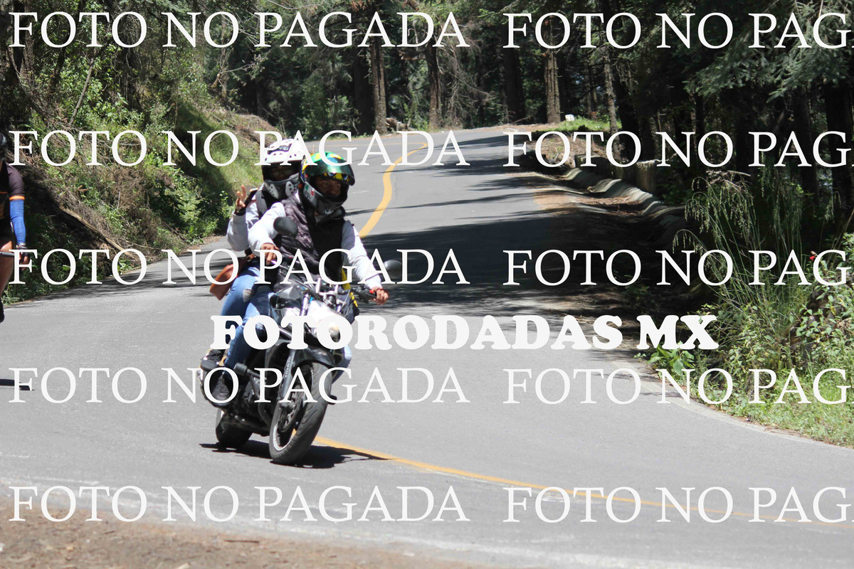 IMG 1799 — Postimages