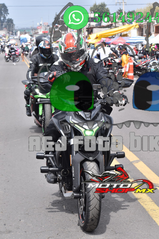 AVQ 4005 — Postimages