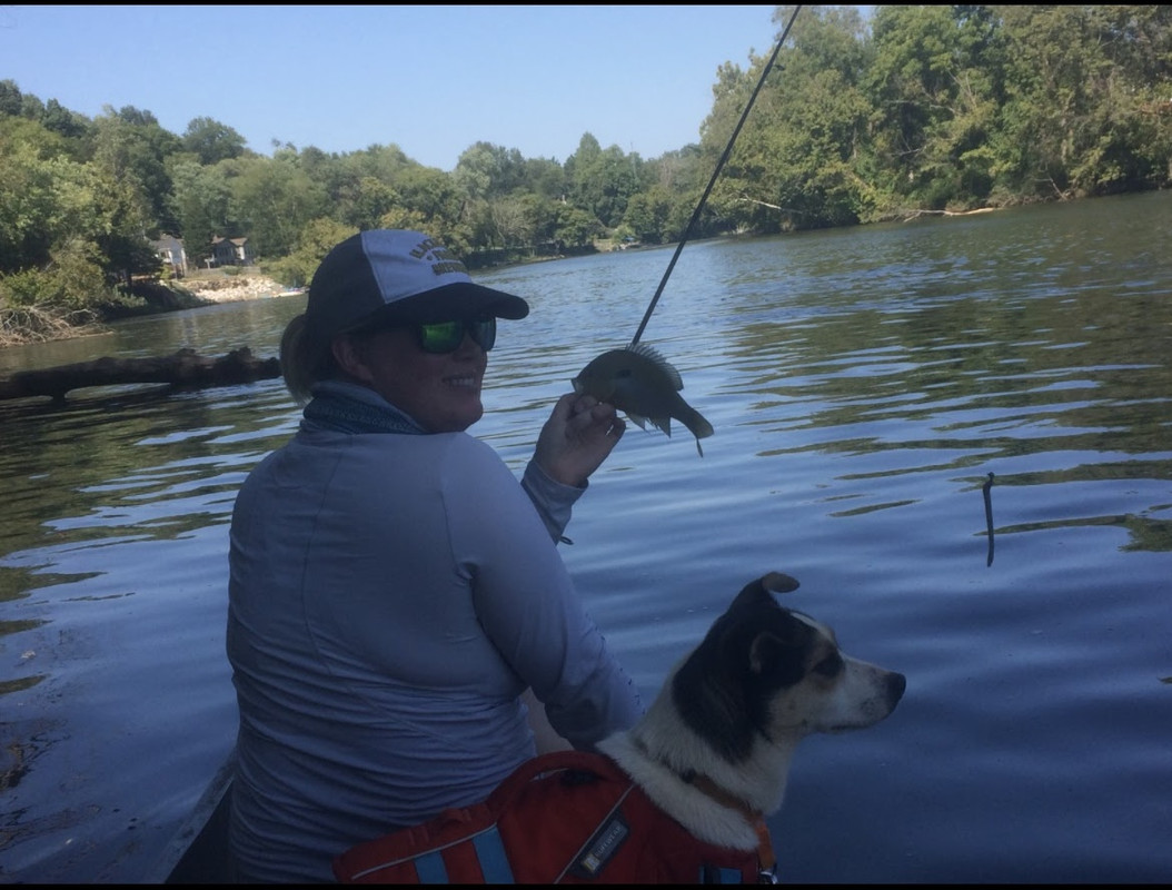 Safety for our furry fishing companions. - General Bass Fishing Forum ...