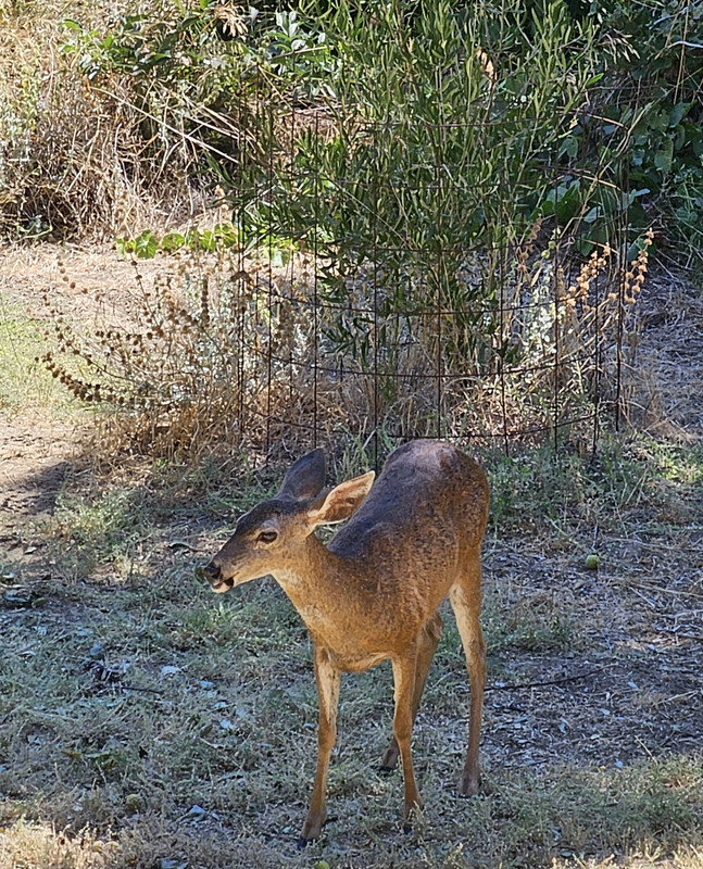 20250814 113846 — Postimages