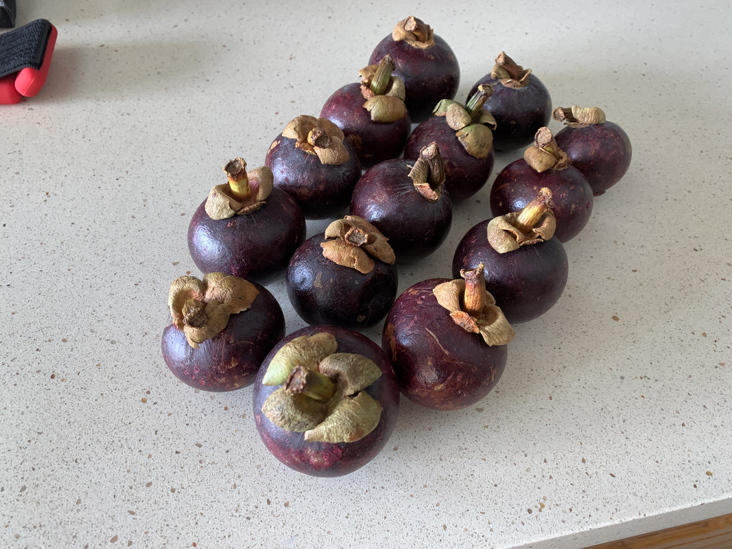 D07 F50 C1 5614 4762 97 CD DC6290 A7713 C — Postimages