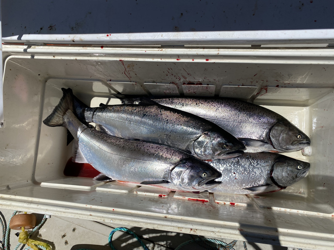 045 C9101 40 FA 42 BF 85 F9 9 CA21 DFCCF53 — Postimages