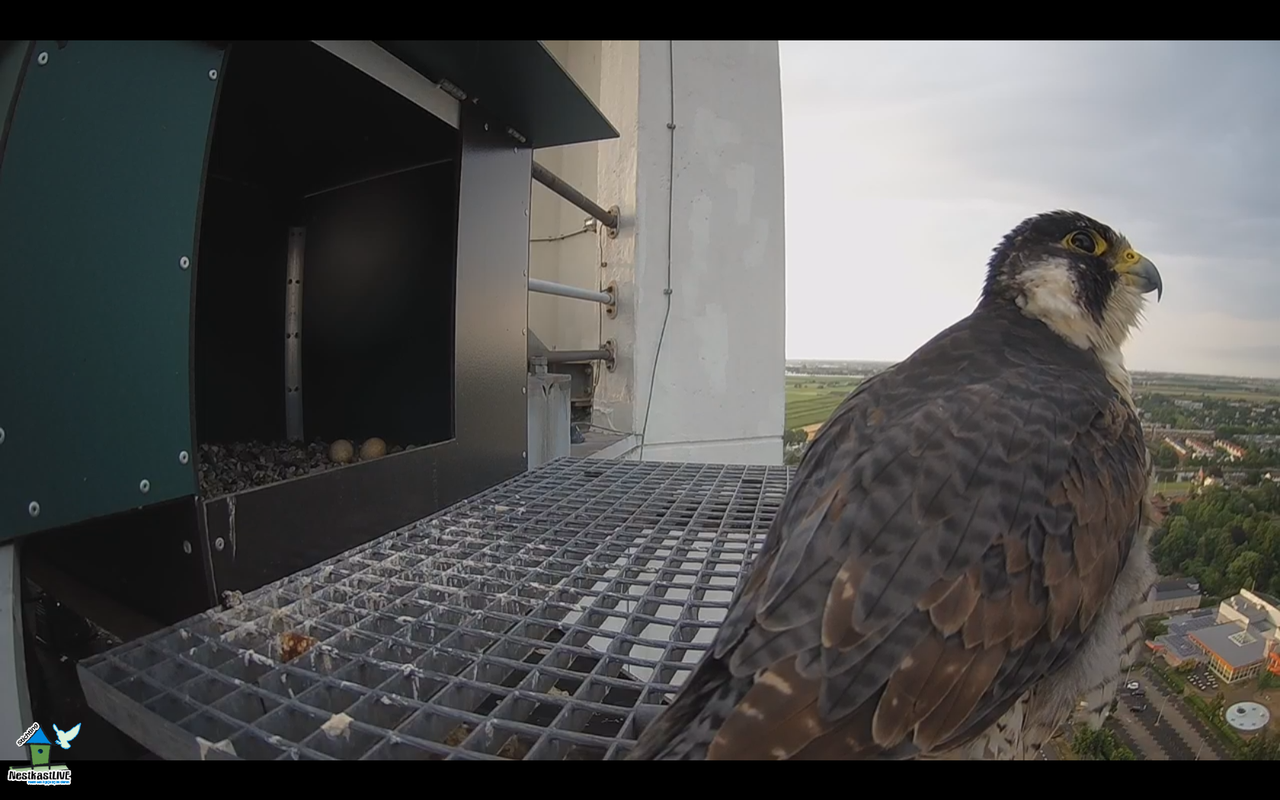 Schermopname (3592) — Postimages