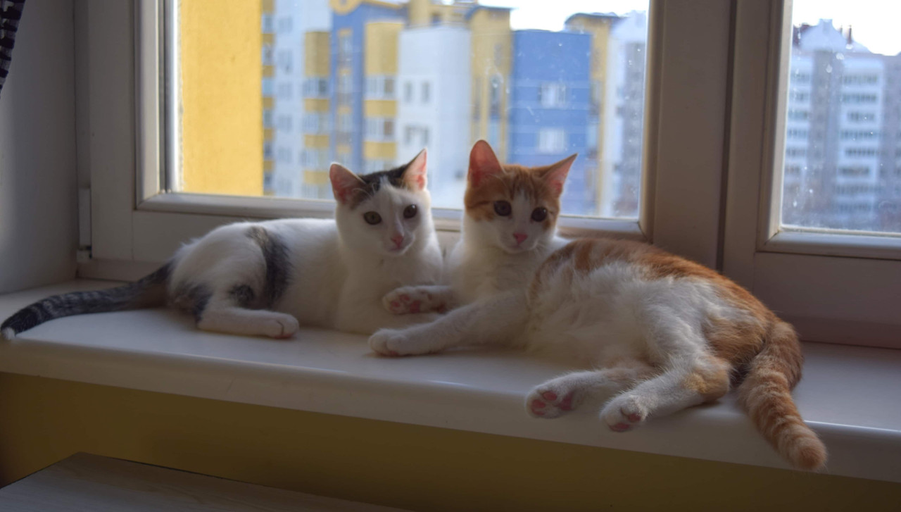 DSC 1978 — Postimages