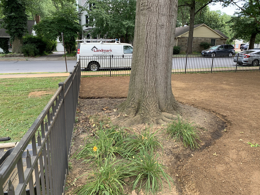 IMG 3692 — Postimages