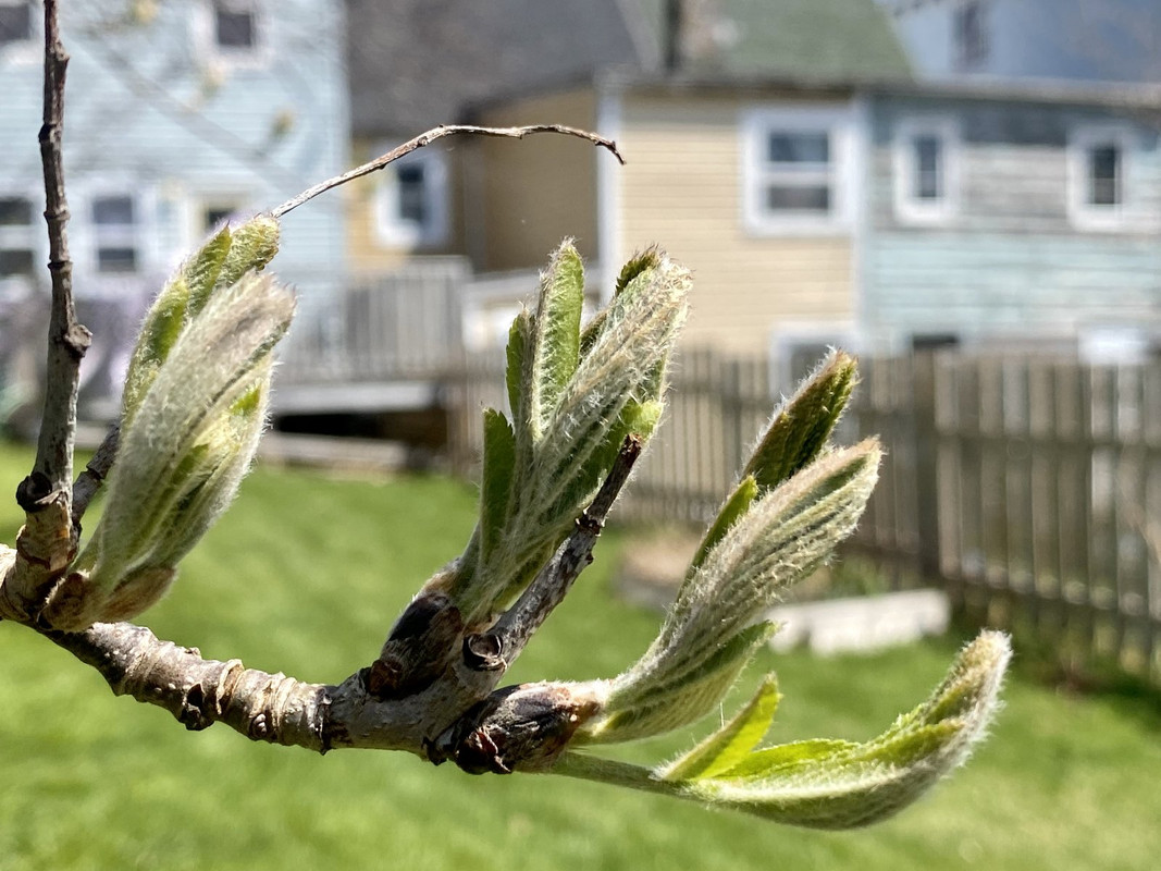 6 F98 F287 3683 40 B5 BA0 E 8561 FBB2 E692 — Postimages