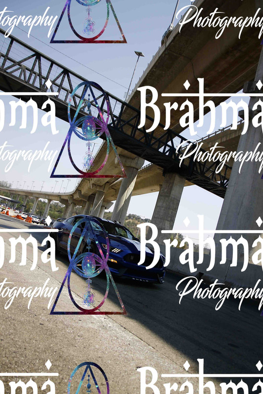 MG 3632 — Postimages