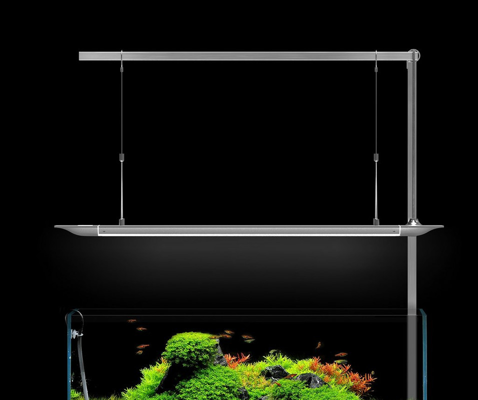 ONF Square Stand — Postimages