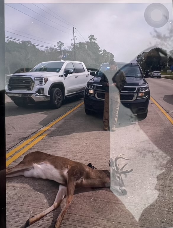 Buck hit on Perkins in front of Pennington | Outdoor Board