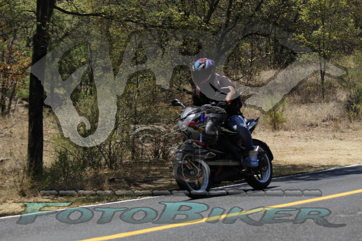 MG 0149 — Postimages