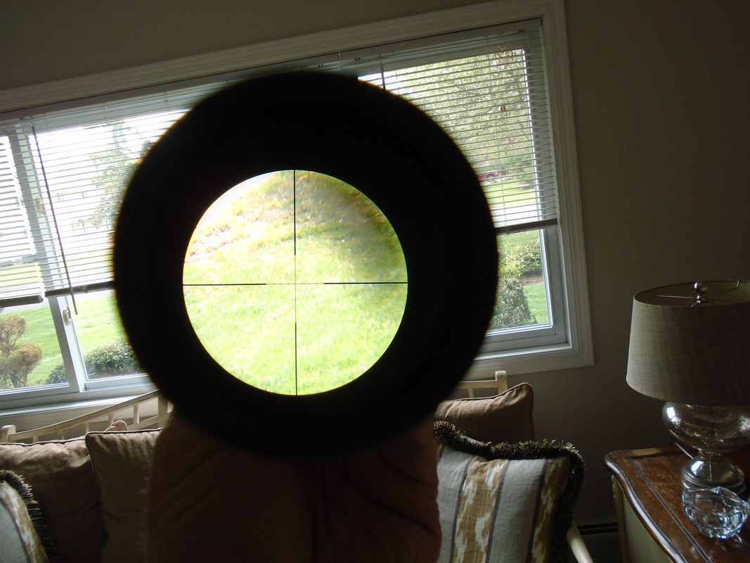 FS Vortex Viper - 24hourcampfire