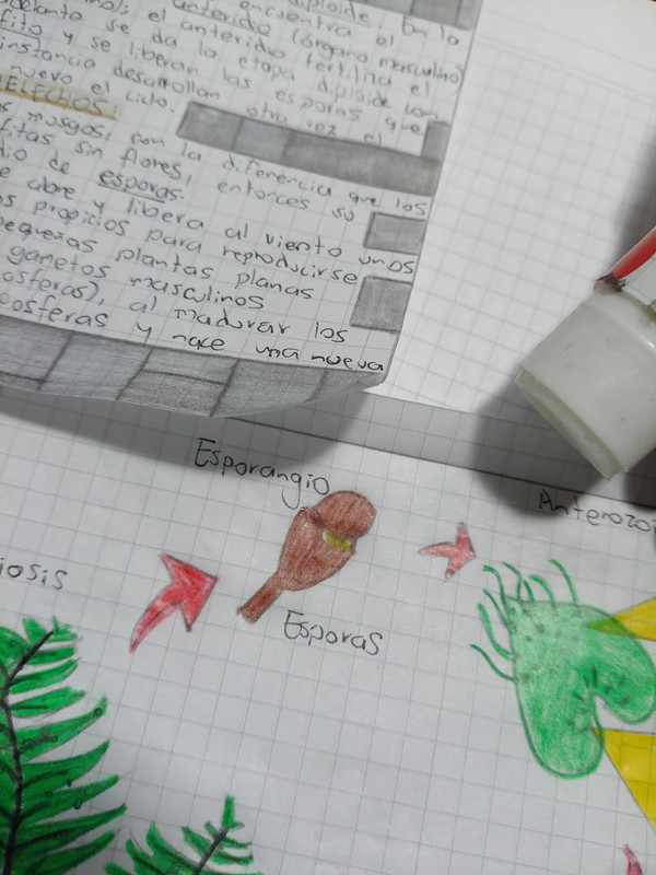 Minecraft Crafter Graphic Organizer