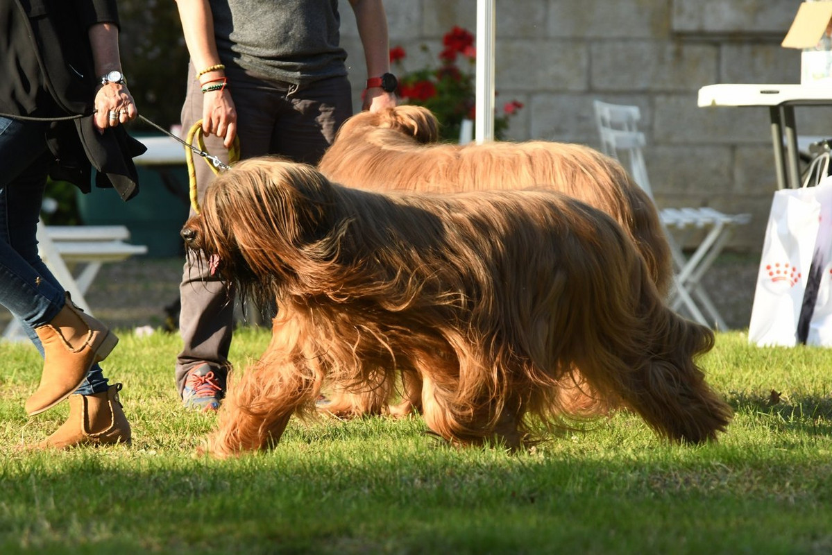 DSC 6512 — Postimages