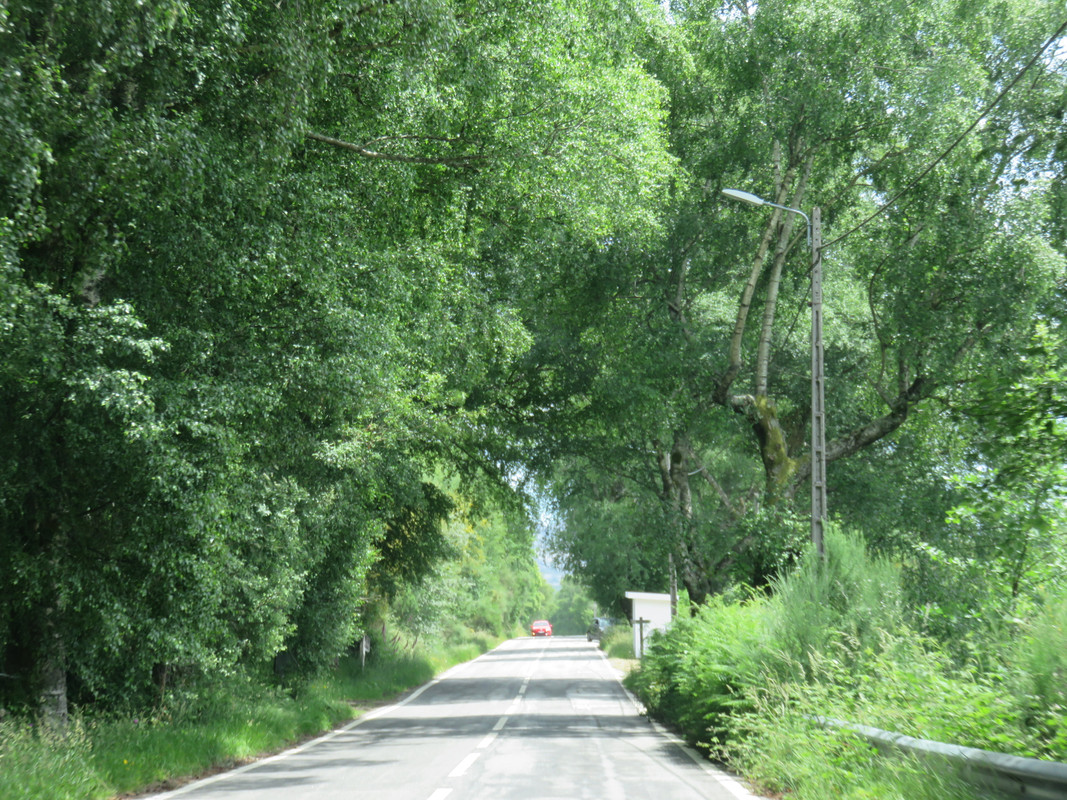 IMG 1966 — Postimages