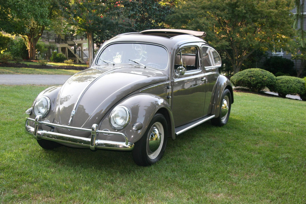 0 56 bug 7 — Postimages