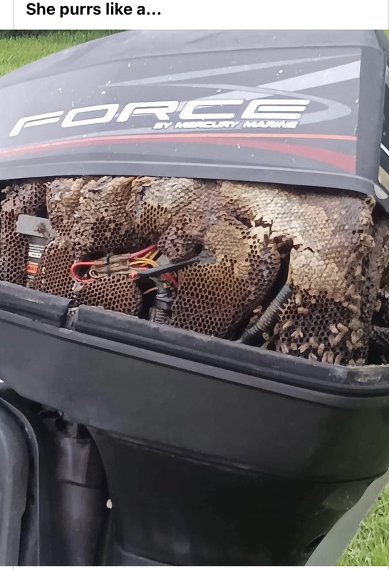 00 B442 C7 F229 4144 B692 728 BE67 B34 C9 — Postimages