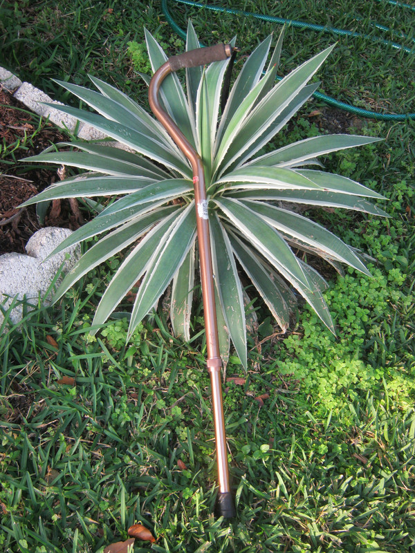 IMG 0577 — Postimages