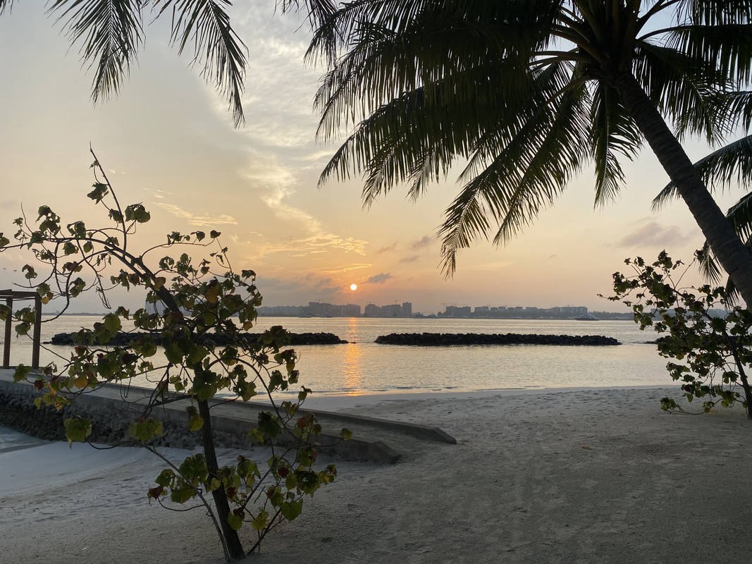 IMG 1987 — Postimages