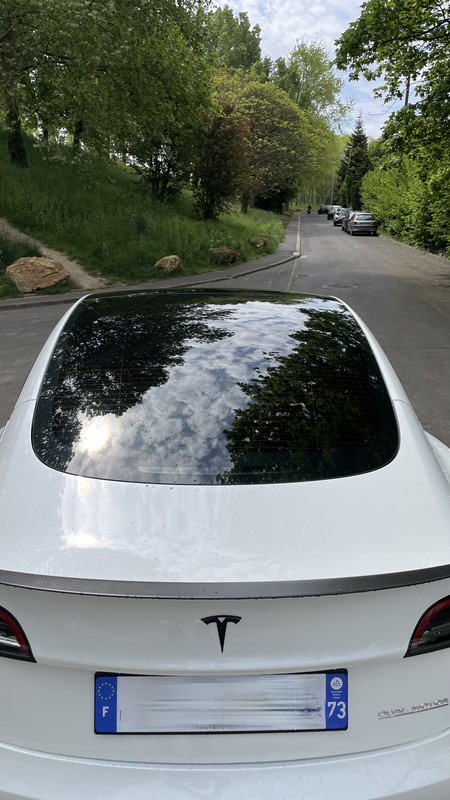 IMG 2600 — Postimages