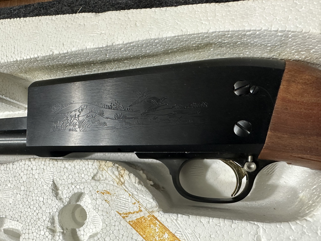 IMG 5153 — Postimages