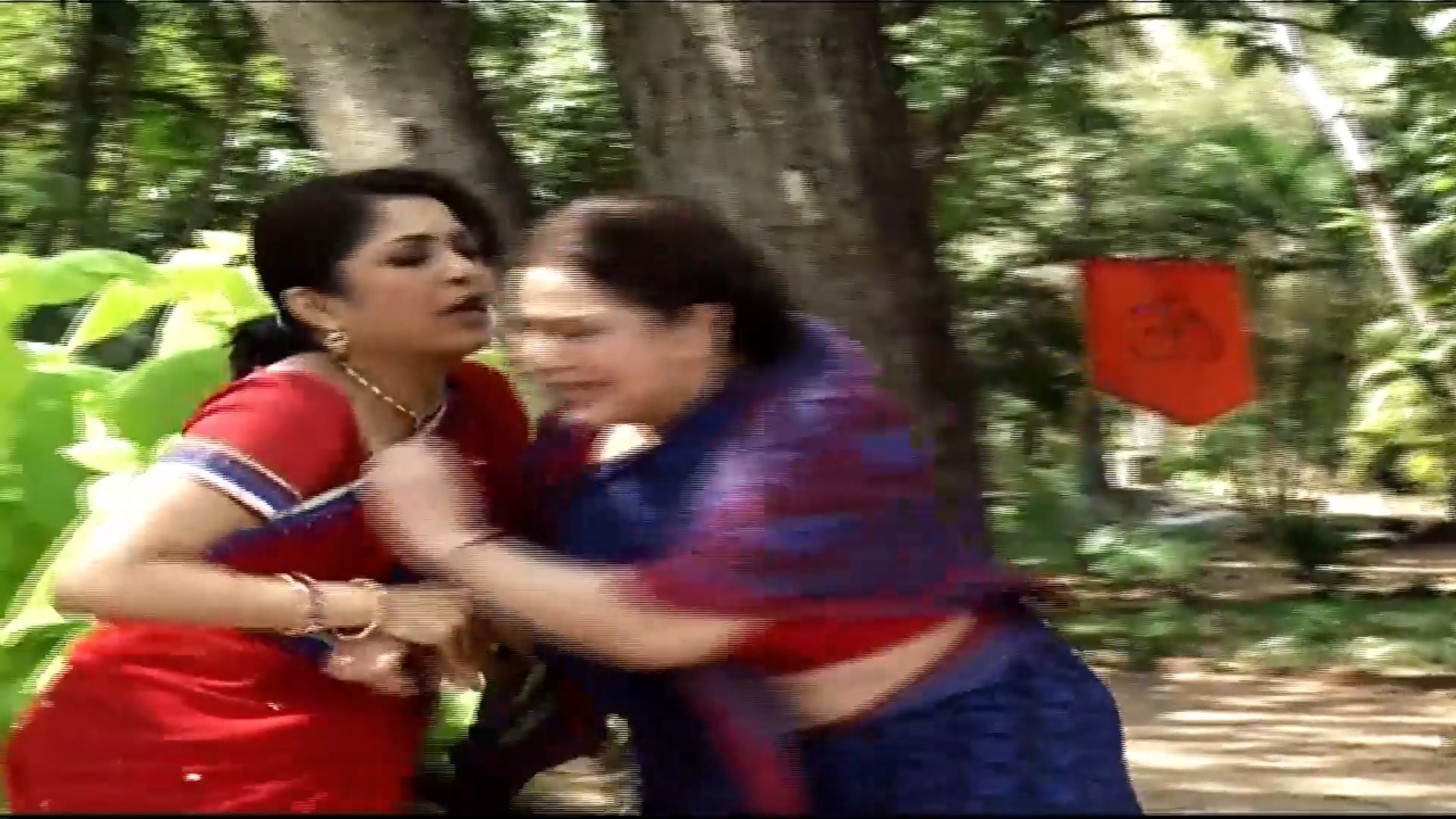 Matured Geetha and young Ramya Krishna Huge Breasts, Navel and Ass in Saree mp4 snapshot 05 55 ...