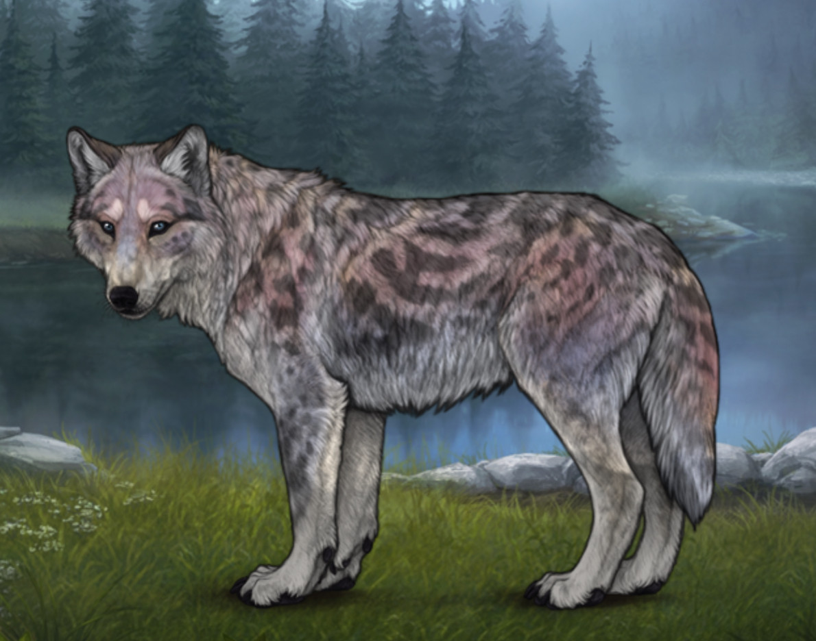 🦖 Jay's Reverse Breeding! 🦕 (OPEN) |:| Wolvden