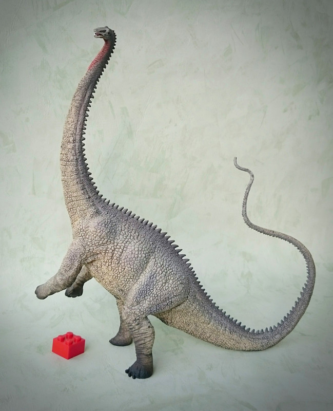 Collecta - Diplodocus with new colours