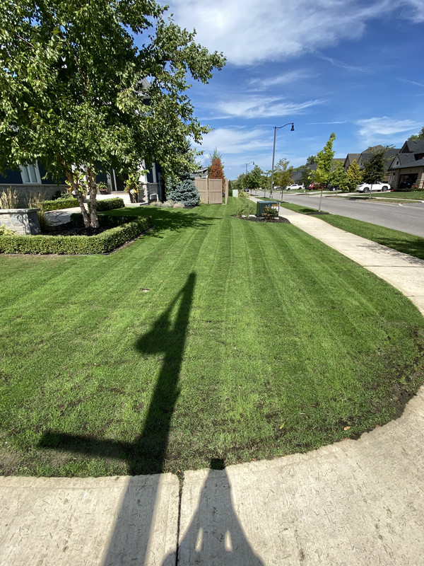 4 AD2381 D 5 D91 43 D4 972 B DDC5 BBCD9 BF7 — Postimages