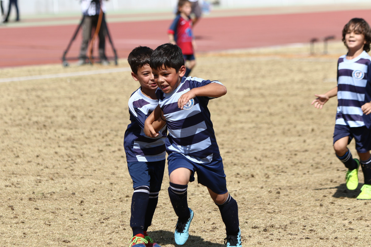 VIK 2149 — Postimages