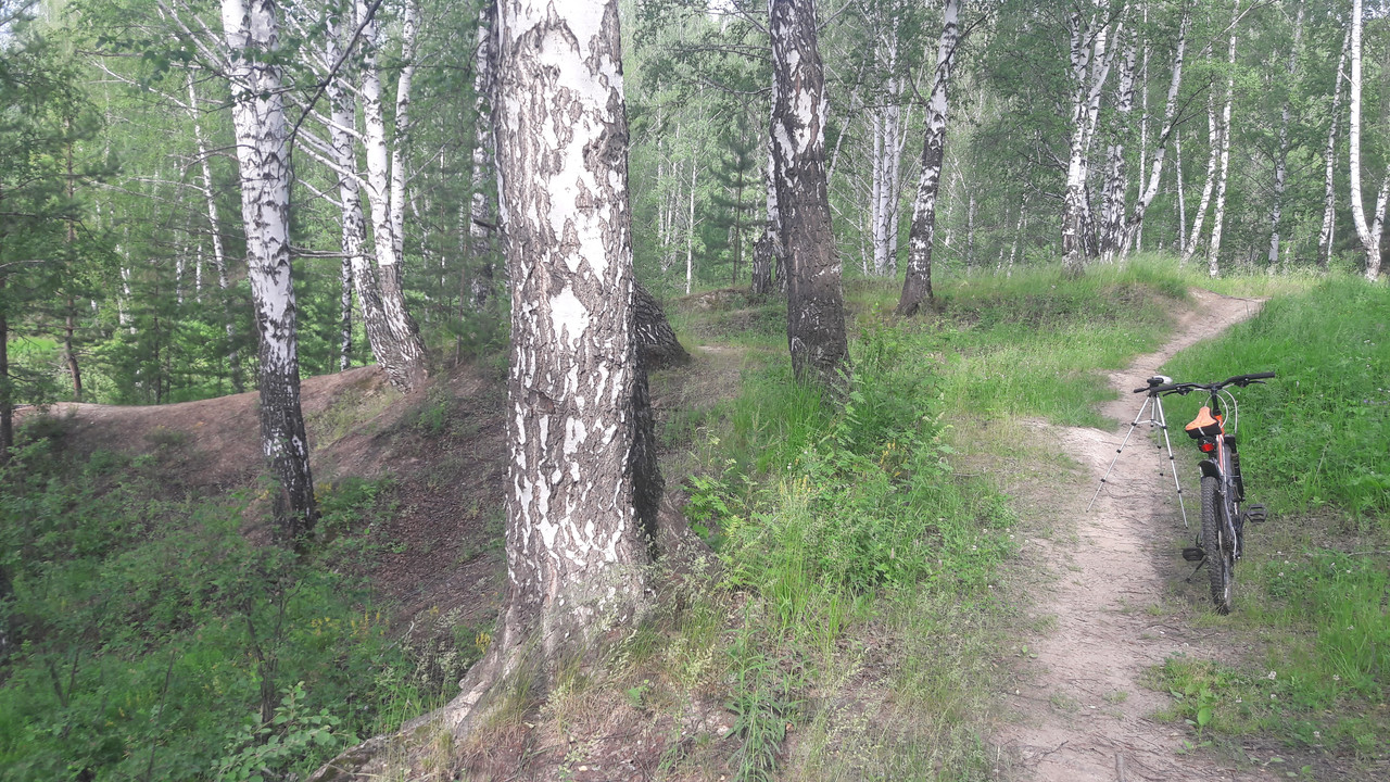 Freesound - AMBBird_Near A Small Pond.Birdsong.Distant Highway Noise 1_EM by newlocknew