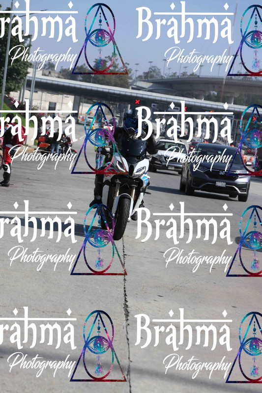 IMG 3215 — Postimages