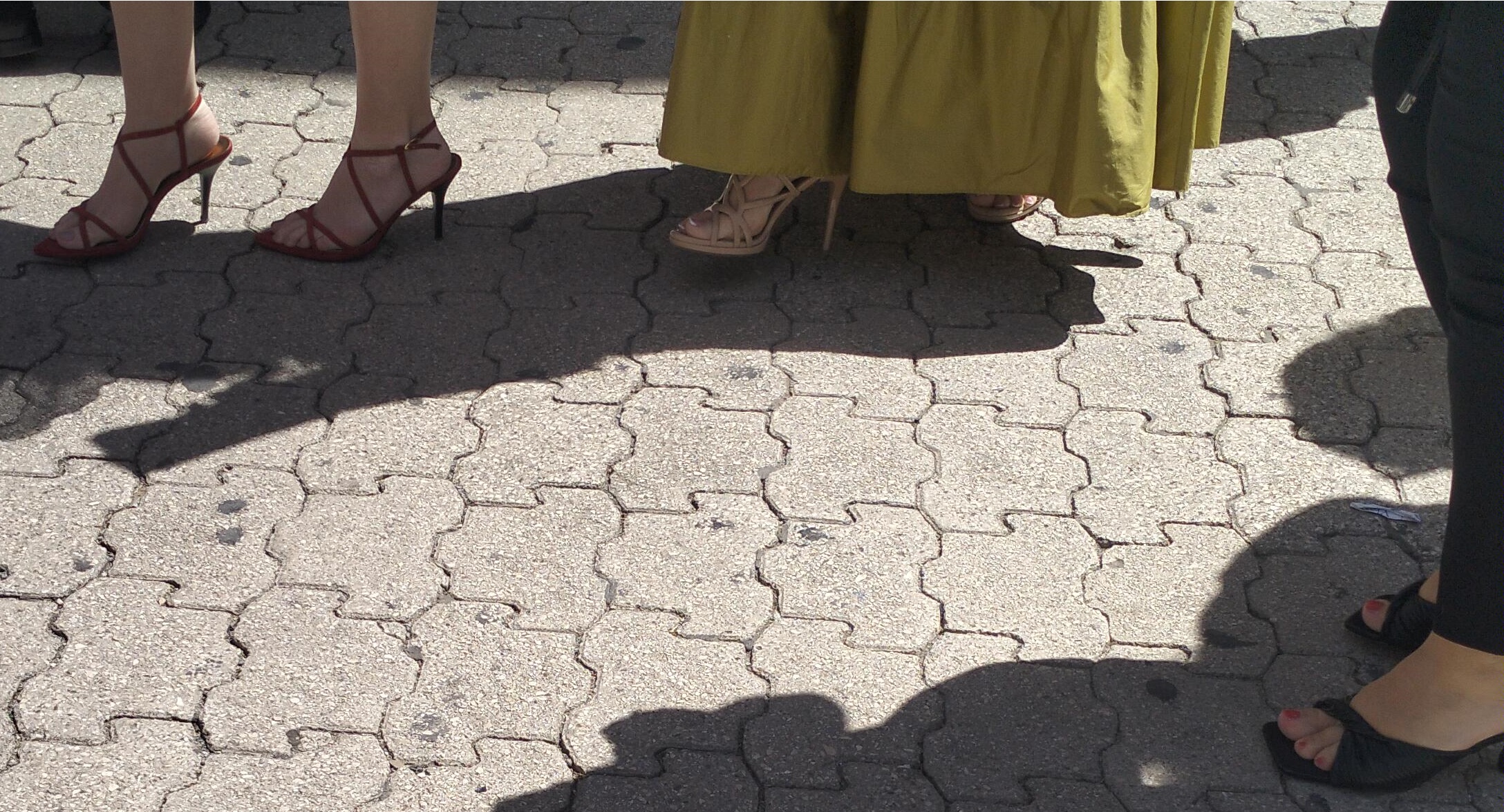 giu16 2024 (55) — Postimages