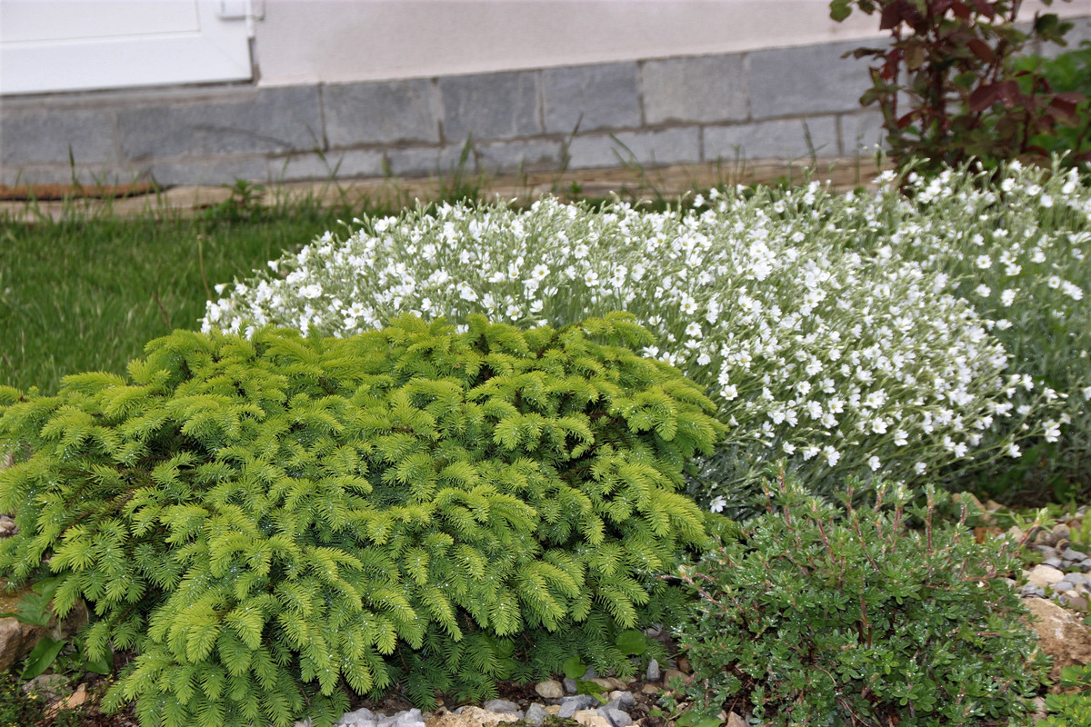 IMG 4615 — Postimages