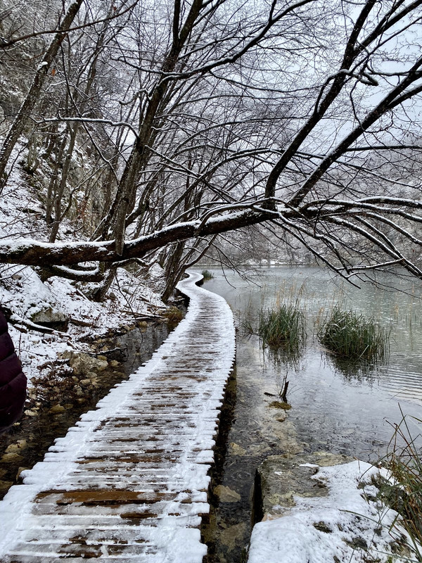 IMG 1011 — Postimages