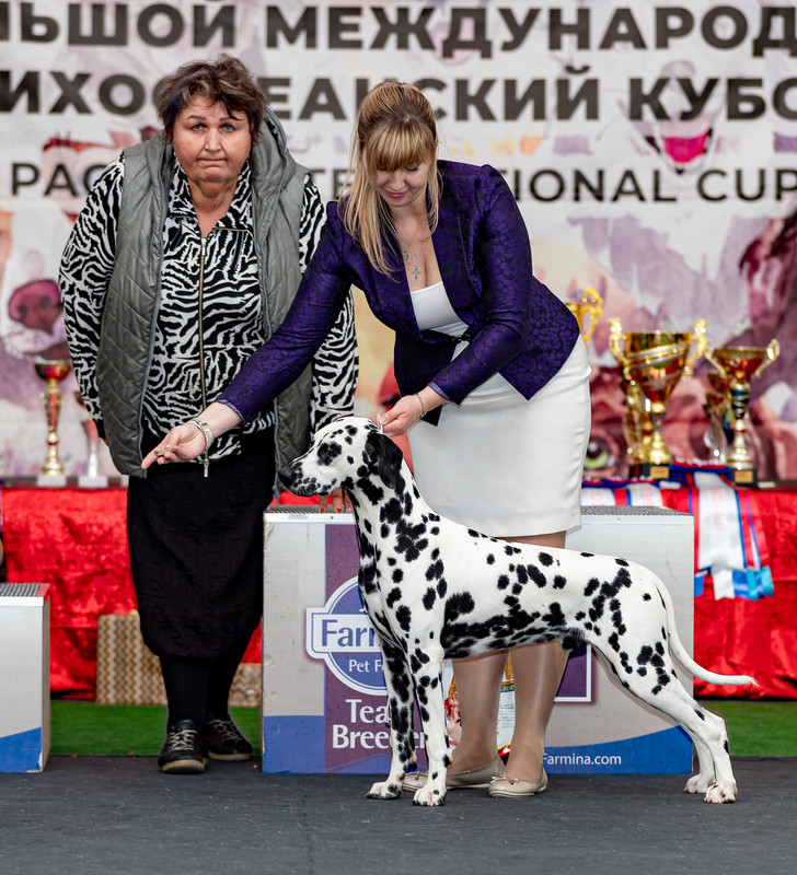 01 592 — Postimages