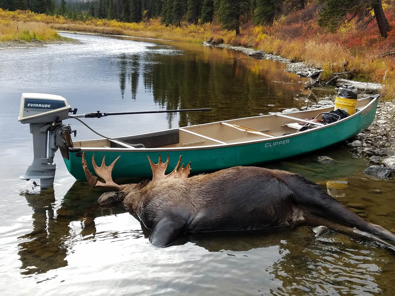Painful demise: 2-stroke portable outboards & ice augers - 24hourcampfire