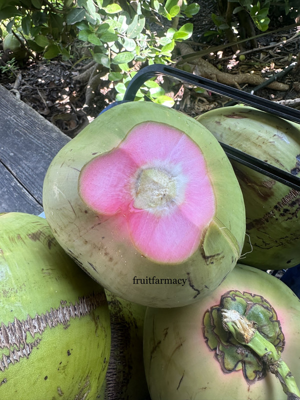 434 CA3 A4 763 B 4 A23 8311 8982 D3 D1 B1 C2 — Postimages