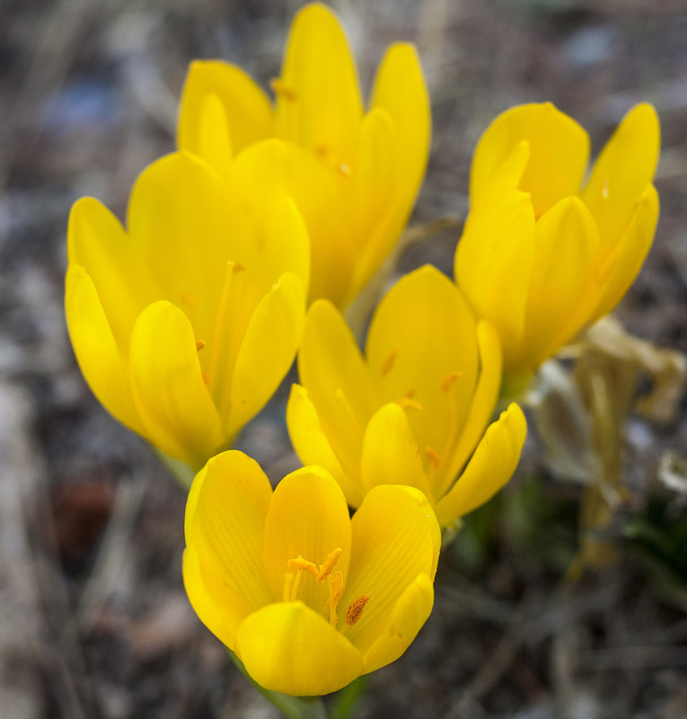 MG 1664 FORO — Postimages