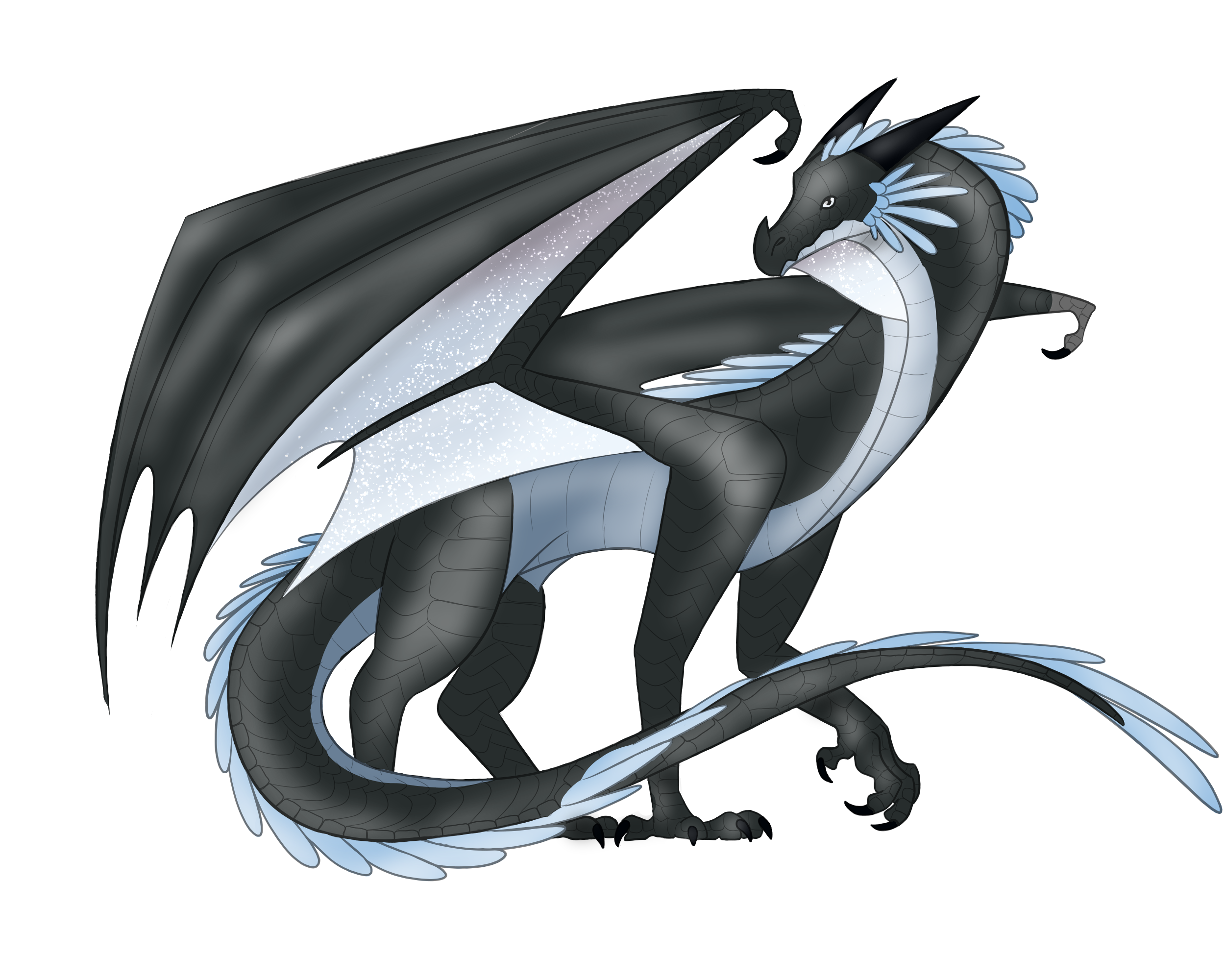 Nightshade ( Male ) — Postimages