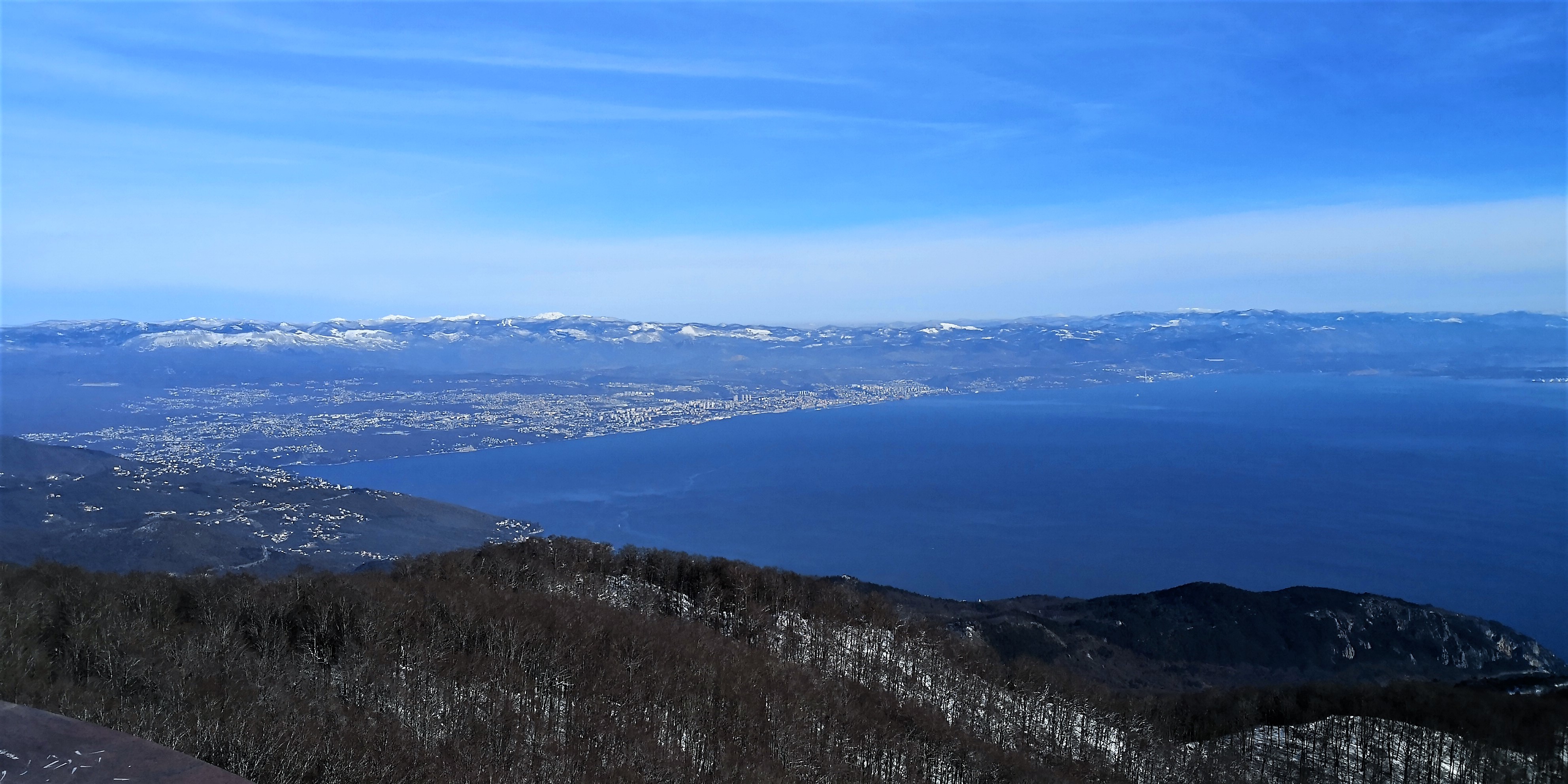 IMG 20190126 131101 — Postimages