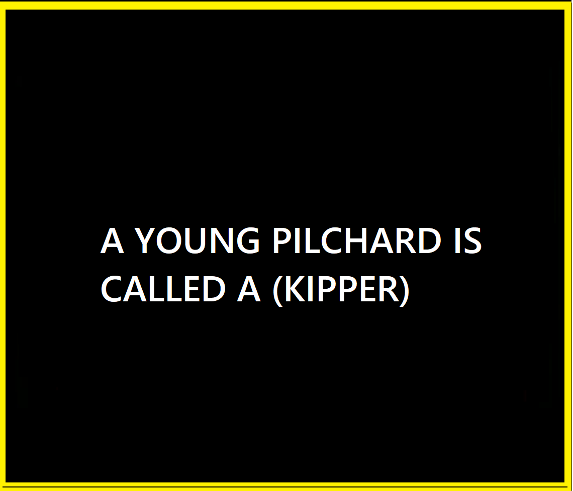 Whew Box — Postimages