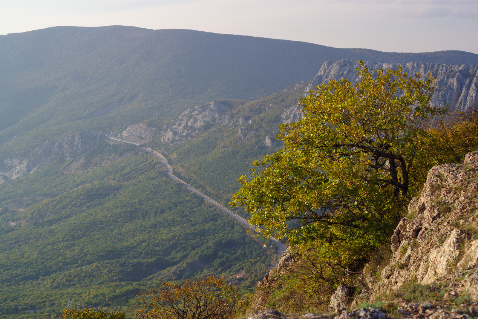 V0001218 1600 — Postimages