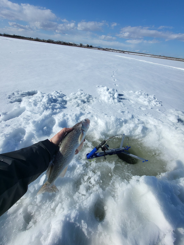 20230408 171003 — Postimages