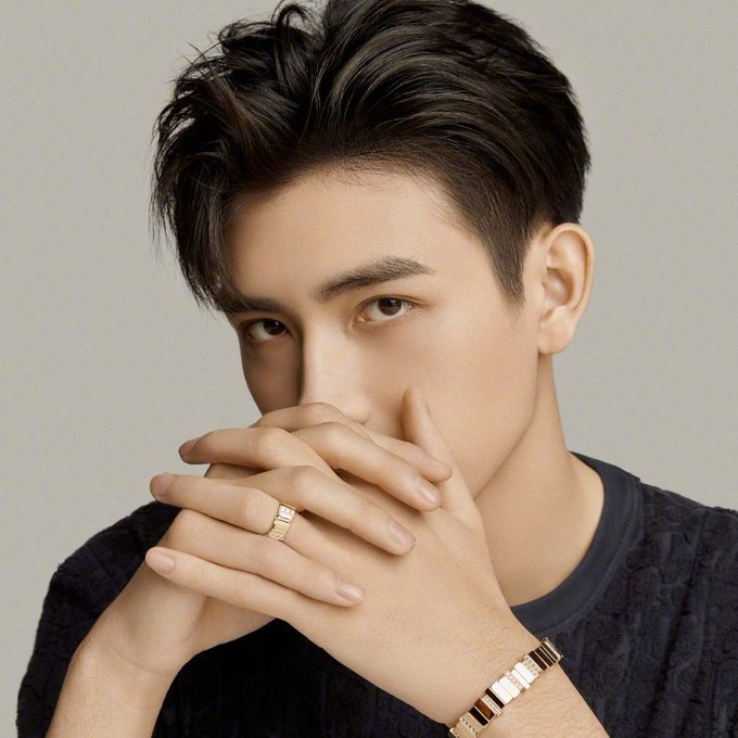 Catat! Ini Harga Tiket Meet & Greet Timothy Lim di Jakarta — peneroka