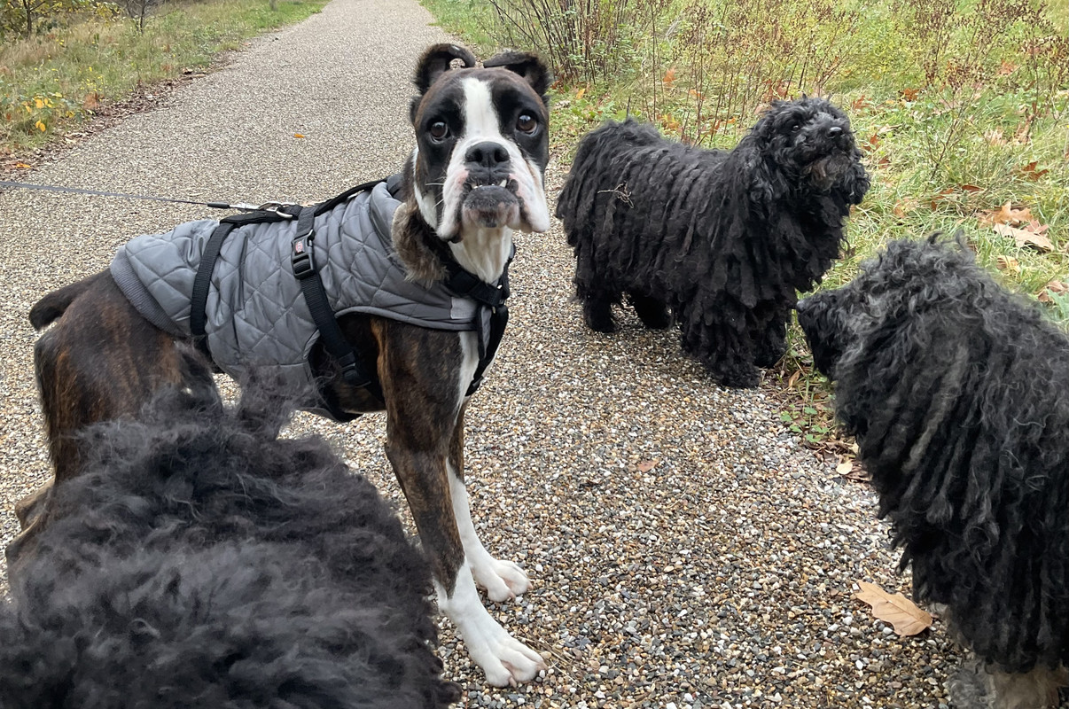 IMG 1976 — Postimages