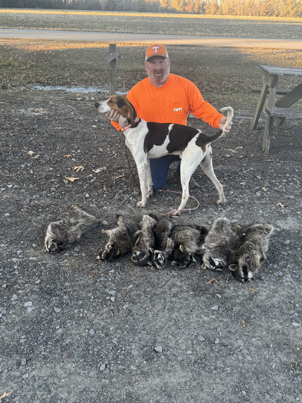 IMG 3757 — Postimages